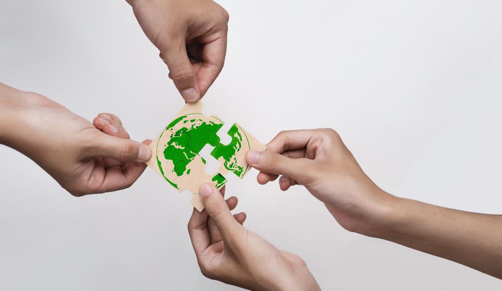 Case Study | Hiscox Value Proposition | Cognosis